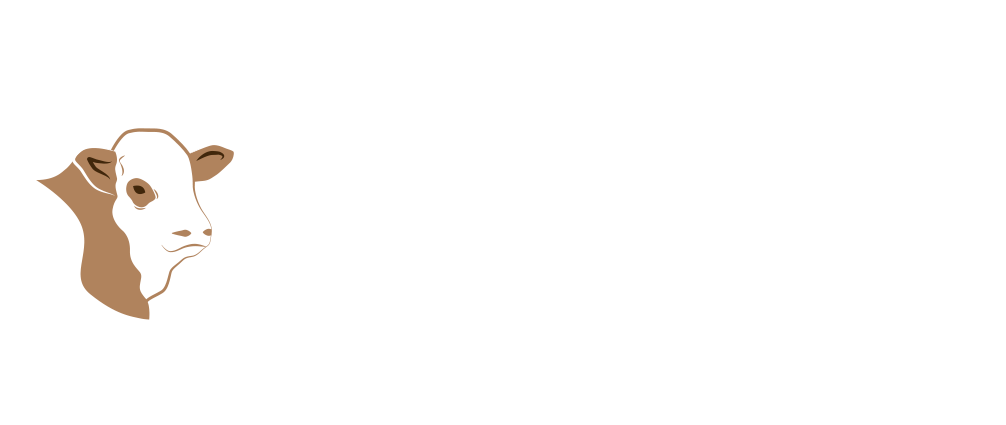 British Simmental Cattle Society - Sneumgaard Pedigree Simmentals